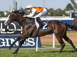 2018 The Rosebud: Race History | Racing and Sports