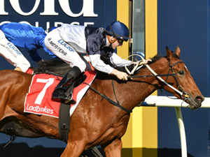 Pedrena Backed In Tattersall's Tiara | Racing and Sports