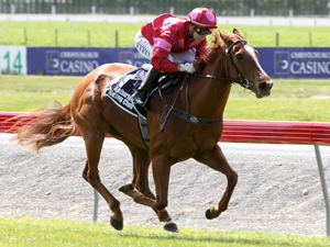 Aidan Rodley Talks New Zealand Cup Week | Racing and Sports