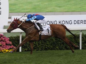 Hong Kong Star Rapper Dragon Euthanised | Racing and Sports