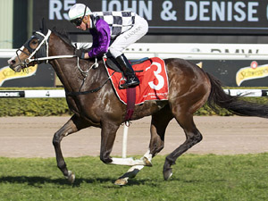 Alex Steedman's Missile Stakes Day Timeform Recap | Racing and Sports