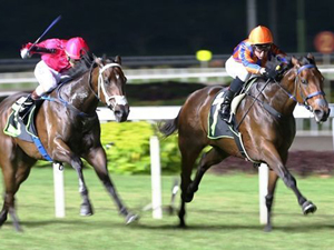 Sky Rocket Relaunches Famous Old Colours | Racing and Sports