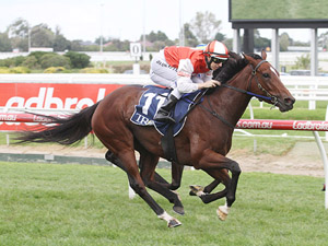 Magic Millions Trophy Aim For Toffee Nose | Racing and Sports