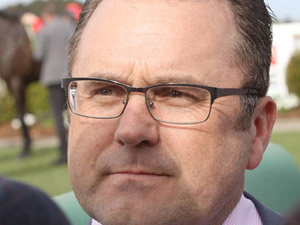 Group One Winner The Quarterback Retired | Racing and Sports