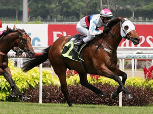 Country Warrior Opens Account In New Colours | Racing and Sports
