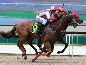 See No Pain, Double The Gain | Racing and Sports