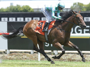 Elusive Treasure Back In The Winning Groove At Te Rapa | Racing and Sports