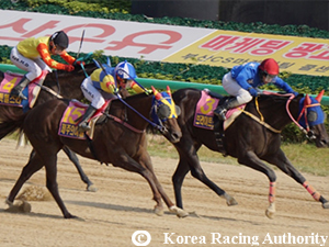 Busan Analysis - Thursday, 18 September | Sky Racing World | Sky Racing ...