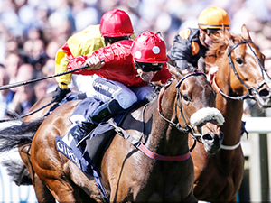 Michael Dods On Weather Watch With Temple Stakes Contender Mabs Cross ...