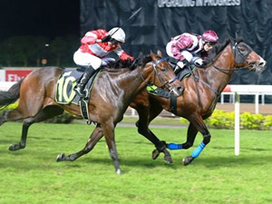 Burridge Keeps Fingers Crossed For Nimitz | Racing and Sports