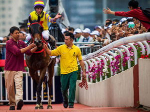 Star Ping’S To Give Ryan Moore A First Bmw Hong Kong Derby | Racing and ...