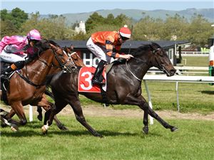 Awapuni Race To Fine-Tune Rock On Wood For Group One Target | Racing ...