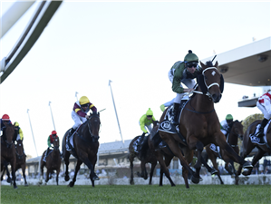 John Schell's Tips For Taree: Tuesday - 23rd July 2024 | Racing and Sports