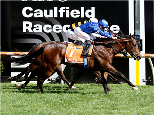 David Gately Caulfield Guineas Day Tips - October 14th 2023 | Racing ...