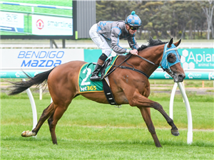 Gemma Rielly Had An Eventful Morning On Her Way To Warrnambool | Racing ...