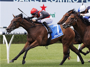 Sydney Specials: Rosehill – Saturday 3rd Of June 2023 | Racing and Sports
