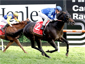 Free Horse Racing Tips | Racing and Sports