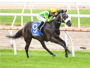 Rq Mackay Lightning Preview: Friday - 27th June 2025 | Sky Racing World ...