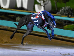 Melbourne Cup Heats decided Under Lightning Skies