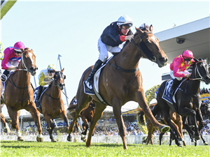 Selections, Trial Watch And Blackbook Reports For Rosehill: 16th ...