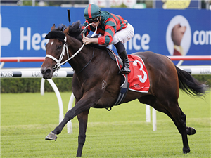 Latest Racing News | Horse Racing Tips | Betting Tips | Racing and Sports