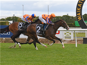 Horse Racing | Racing News | Sports News | Racing and Sports