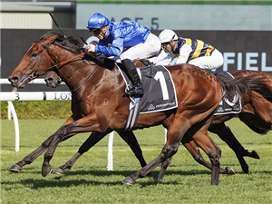 Trial Watch Review: 6th August 2024 | Sky Racing World | Sky Racing World