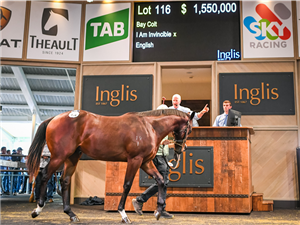 Inglis Easter Yearling Dale Day 1 Wrap | Racing and Sports