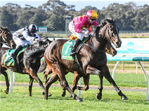 Nick Noonan - Wodonga Preview - (August 4, 2024) | Racing and Sports