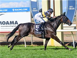 Nick Noonan Echuca Cup Day Preview - (March 10, 2024) | Racing and Sports