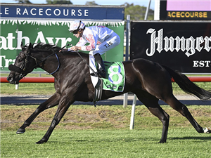 Horse Racing Today | Racing News | Previews | Racing and Sports