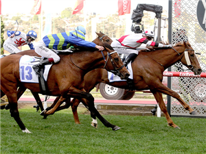 Group 1 Underwood Stakes Preview 2023 | Racing and Sports