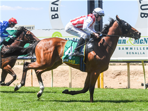 Nick Noonan Benalla Preview - November 12th 2023 | Racing and Sports