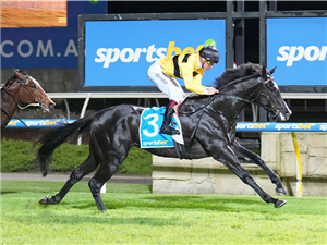 Trent Crebbin's Tab.Com.Au Race By Race Sandown Preview: 15th June 2024 ...