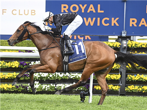 Boxing Day Preview With Chris Scholtz: 26th December 2025 | Racing and ...