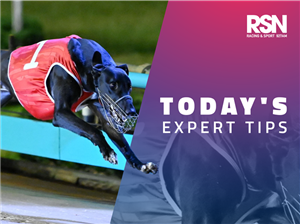 Daily Greyhound Tips - November 25, 2023 | Racing and Sports