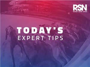 Daily Greyhound Tips - November 12th 2023 | Racing and Sports