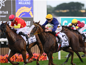 2025 Magic Millions 3Yo Guineas: Race History | Racing and Sports