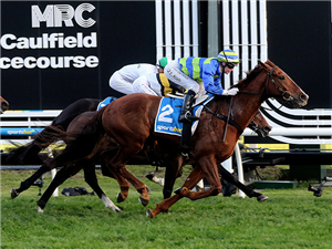 David ‘Gator’ Gately Caulfield Underwood Stakes Raceday Tips (September ...