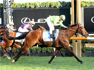 Berkeley Square Is Eying Off A Hattrick Of Wins In The Coongy Cup | Rsn ...