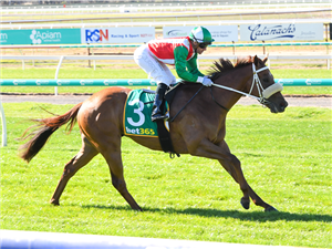 Trent Busuttin Admits Craig 'Should Be Winning' At Flemington | Racing ...