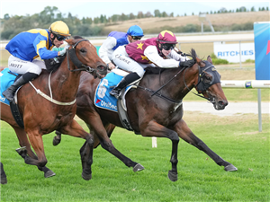 David ‘Gator’ Gately, Caulfield Bletchingly Stakes Raceday Tips (July ...