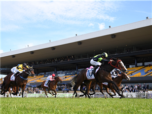 John Schell's Tips For Muswellbrook: Tuesday - 9th July 2024 | Rsn ...