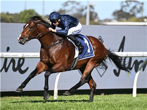 The Verdict With Michael Felgate, Ben Asgari And Nick Foot (September 2 ...