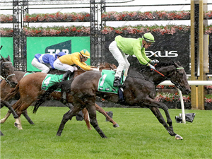 The Melbourne Mail: Flemington – 2nd Of August 2025 | Sky Racing World ...