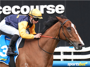 Latest Racing News | Horse Racing Tips | Betting Tips | Racing and Sports