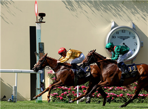 Today's Horse Racing Guide, Races, Race Cards, Results | Racing and Sports