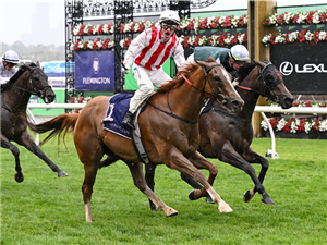 Giga Kick Wins The Champions Sprint: Post Race Trainer And Jockey ...