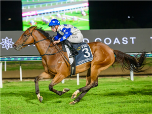 Today's Horse Racing Guide, Races, Race Cards, Results | Racing and Sports