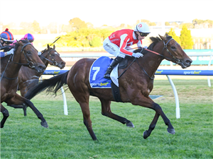 The Verdict With Michael Felgate, Mick Sharkie And Carl Di Iorio (June ...